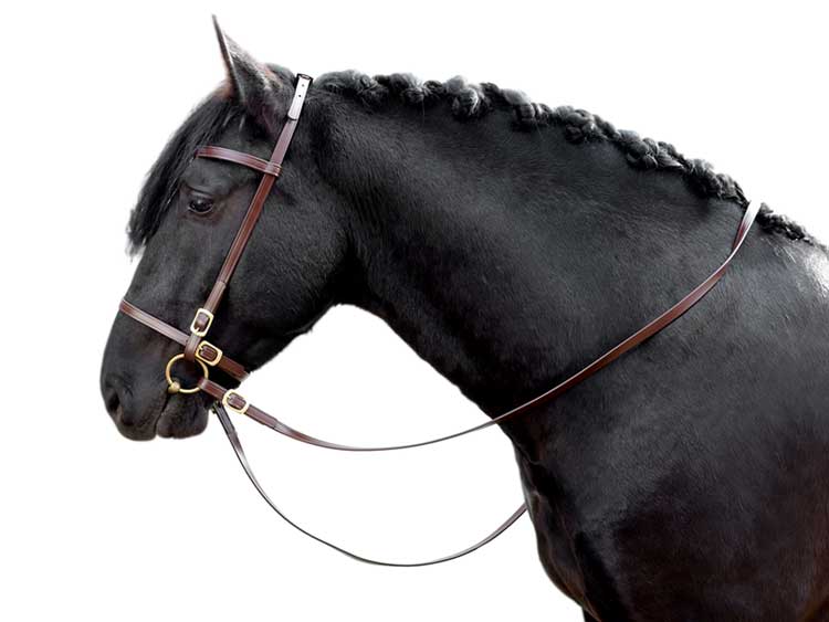 EDELROSS - Trense | Zaum | EDELROSS® Premium BioThane®